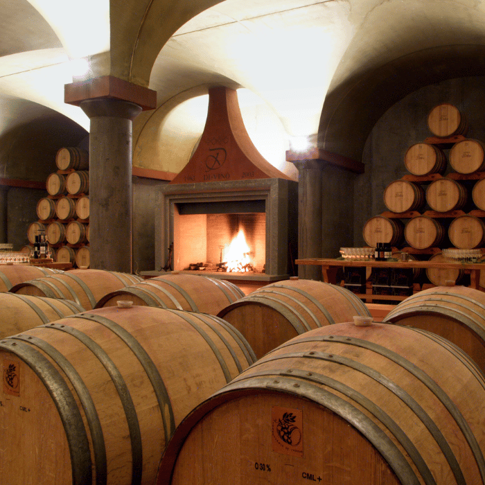Chi Siamo | Vini e Distillati Angelo Delea – DELEA Angelo SA